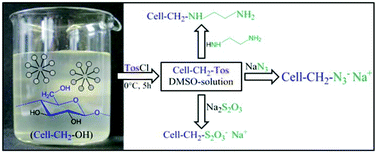 Synthesis of soluble cellulose tosylates in an eco-friendly medium ...
