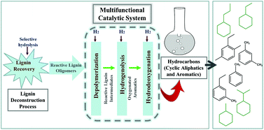 Noble-metal catalyzed hydrodeoxygenation of biomass-derived lignin to ...