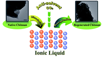 Precipitation of chitosan from ionic liquid solution by the compressed ...