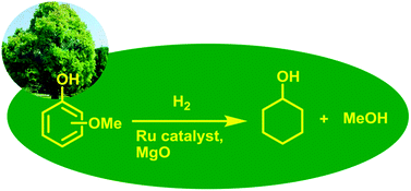 Selective production of cyclohexanol and methanol from guaiacol over Ru ...