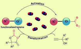Alkoxide-functionalized imidazolium betaines for CO2 activation and ...