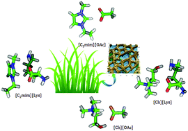 Understanding pretreatment efficacy of four cholinium and imidazolium ...