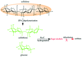 Zirconium phosphate combined with Ru/C as a highly efficient catalyst ...