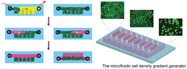 A simple and versatile microfluidic cell density gradient generator for ...