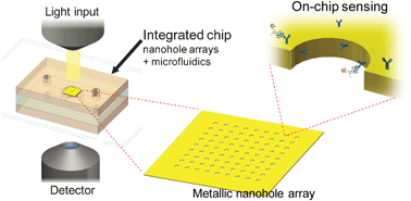 On-chip nanohole array based sensing: a review - Lab on a Chip (RSC Publishing)