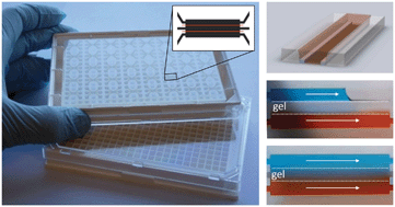 Microfluidic titer plate for stratified 3D cell culture - Lab on a Chip ...