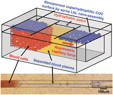 A new on-chip whole blood/plasma separator driven by asymmetric ...