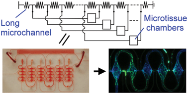 A microfluidic platform for generating large-scale nearly identical ...
