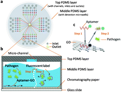 A PDMS/paper/glass hybrid microfluidic biochip integrated with aptamer ...
