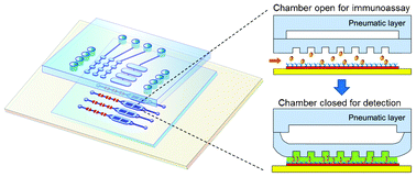 Ultrasensitive microfluidic solid-phase ELISA using an actuatable ...