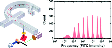 Sub-micrometer-precision, three-dimensional (3D) hydrodynamic focusing ...