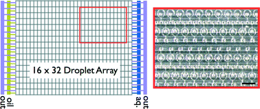 Hybrid soft-lithography/laser machined microchips for the parallel ...