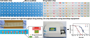 Micro-scaffold array chip for upgrading cell-based high-throughput drug ...