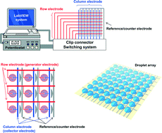 Droplet array on local redox cycling-based electrochemical (LRC-EC ...