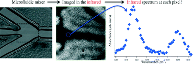 Submillisecond mixing in a continuous-flow, microfluidic mixer utilizing mid-infrared ...