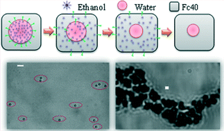 Ultra-small droplet generation via volatile component evaporation - Lab ...