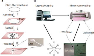 Paper-based microfluidics with high resolution, cut on a glass fiber ...