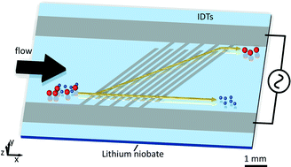 Particle separation using virtual deterministic lateral displacement (vDLD) - Lab on a Chip (RSC ...