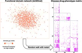 A disease-drug-phenotype matrix inferred by walking on a functional ...