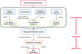Biomarkers for early diagnosis of type 2 diabetic nephropathy: a study ...