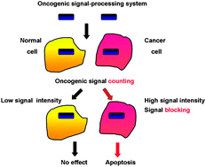 Synthesizing oncogenic signal-processing systems that function as both ...