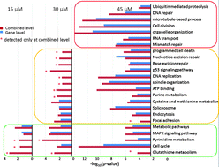RNA-seq data analysis at the gene and CDS levels provides a ...
