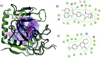 Molecular insights on TNKS1/TNKS2 and inhibitor-IWR1 interactions ...