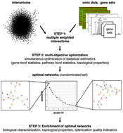 Network-based analysis of omics with multi-objective optimization ...