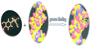Multi-spectroscopic and molecular modeling studies on the interaction ...