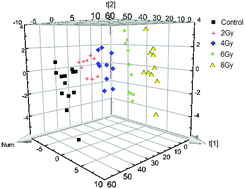 Assessment of early triage for acute radiation injury in rat model ...