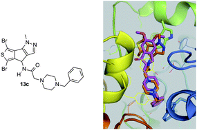 Design, synthesis and biological evaluation of novel indano- and ...