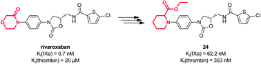 Transformation of a selective factor Xa inhibitor rivaroxaban into a ...