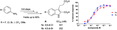 Improved synthesis of 4-/6-substituted 2-carboxy-1H-indole-3-propionic ...