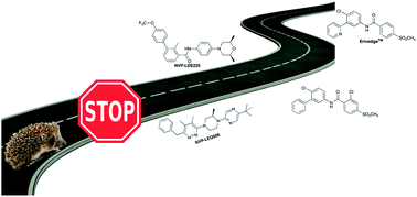 Hedgehog signalling pathway inhibitors as cancer suppressing agents ...