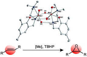 Dimeric μ-oxo bridged molybdenum(vi) dioxo complexes as catalysts in ...