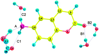 Change in energy of hydrogen bonds upon excitation of 6-aminocoumarin ...