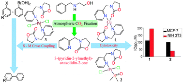 Structure and properties of metal complexes of a pyridine based ...