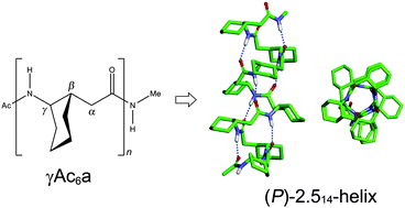 Helix foldamers of γ-peptides based on 2-aminocyclohexylacetic acid: a ...