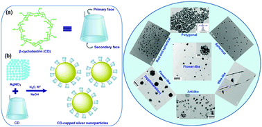 Facile synthesis of silver nanoparticles using unmodified cyclodextrin and their surface ...