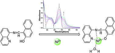 A highly selective colorimetric chemosensor for detection of nickel ...