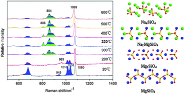 An in situ spectroscopic study on decomposition of MgSiO3 during the ...