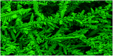 Versatile Ag dendrites: simple galvanostatic deposition and ...