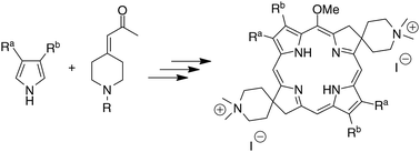 Synthetic bacteriochlorins with integral spiro-piperidine motifs - New ...