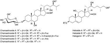 Open-chain steroidal glycosides, a diverse class of plant saponins ...
