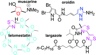 Muscarine Structure