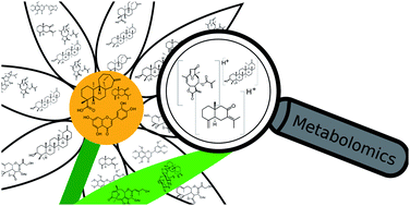 Mass spectrometry in plant metabolomics strategies: from analytical ...