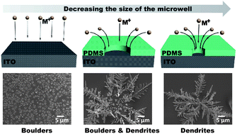 Space-confined fabrication of silver nanodendrites and their enhanced ...