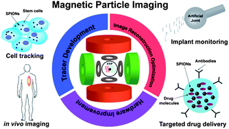 Magnetic particle imaging: advancements and perspectives for real-time in vivo monitoring and ...
