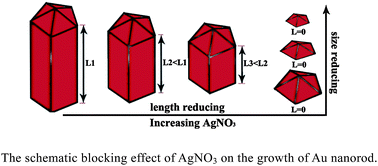 The unusual effect of AgNO3 on the growth of Au nanostructures and ...
