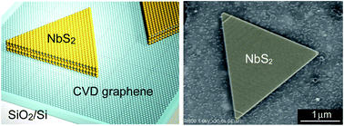 Large-scale synthesis of NbS2 nanosheets with controlled orientation on ...